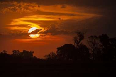 The Role of Storytelling in African Oral Traditions