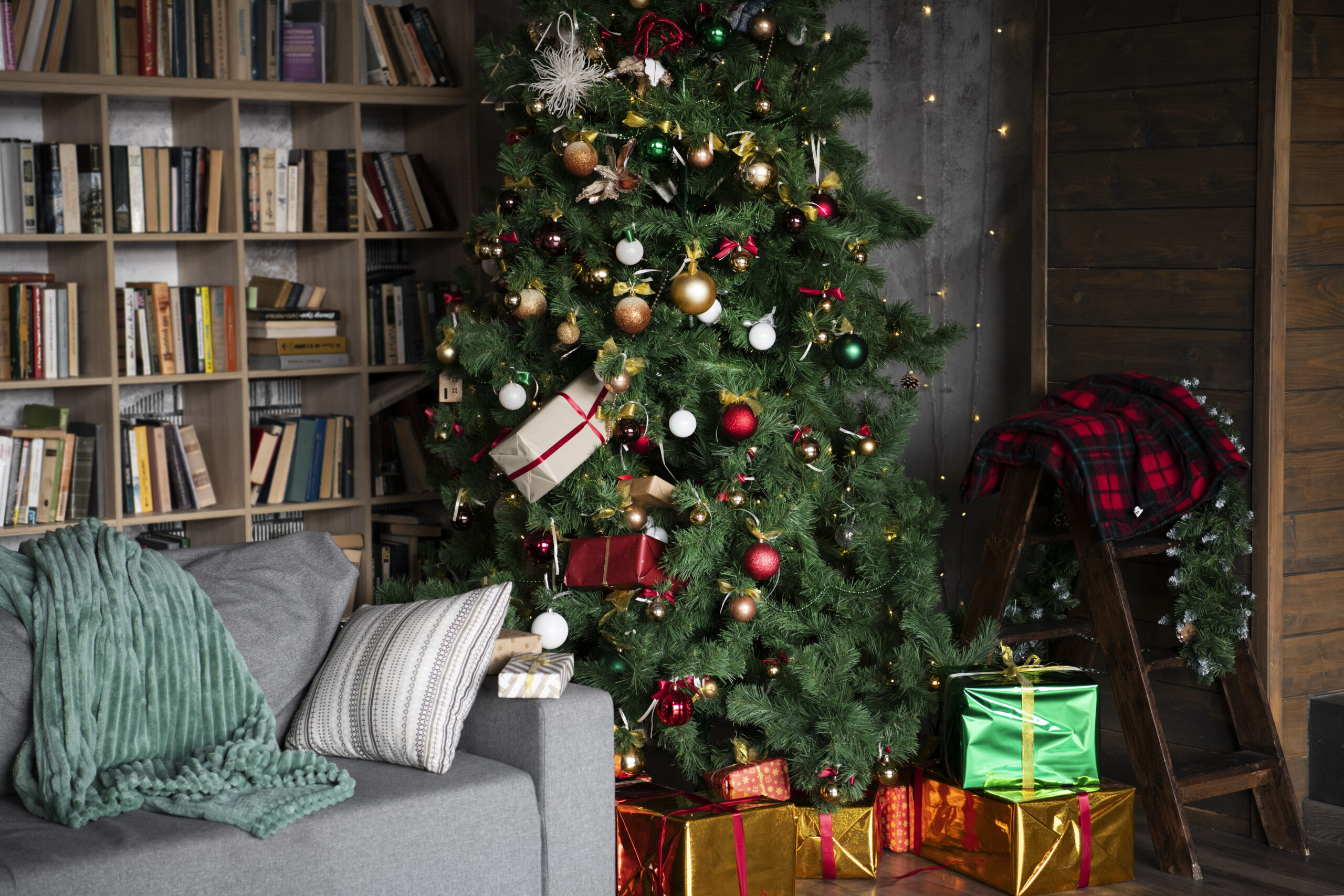 How to Choose the Best Real Christmas Tree for Your Home